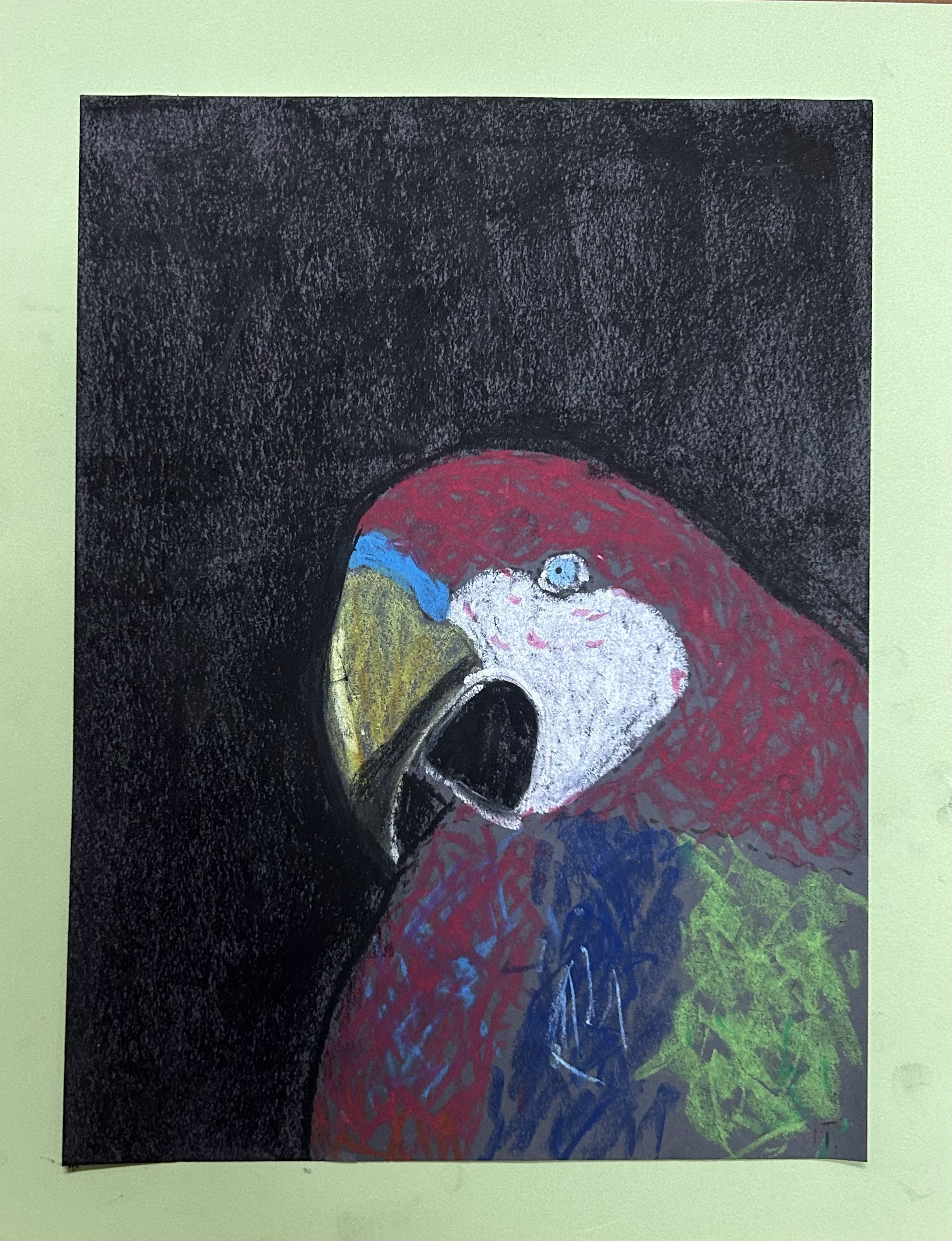 Student Artwork – The Artist Tree